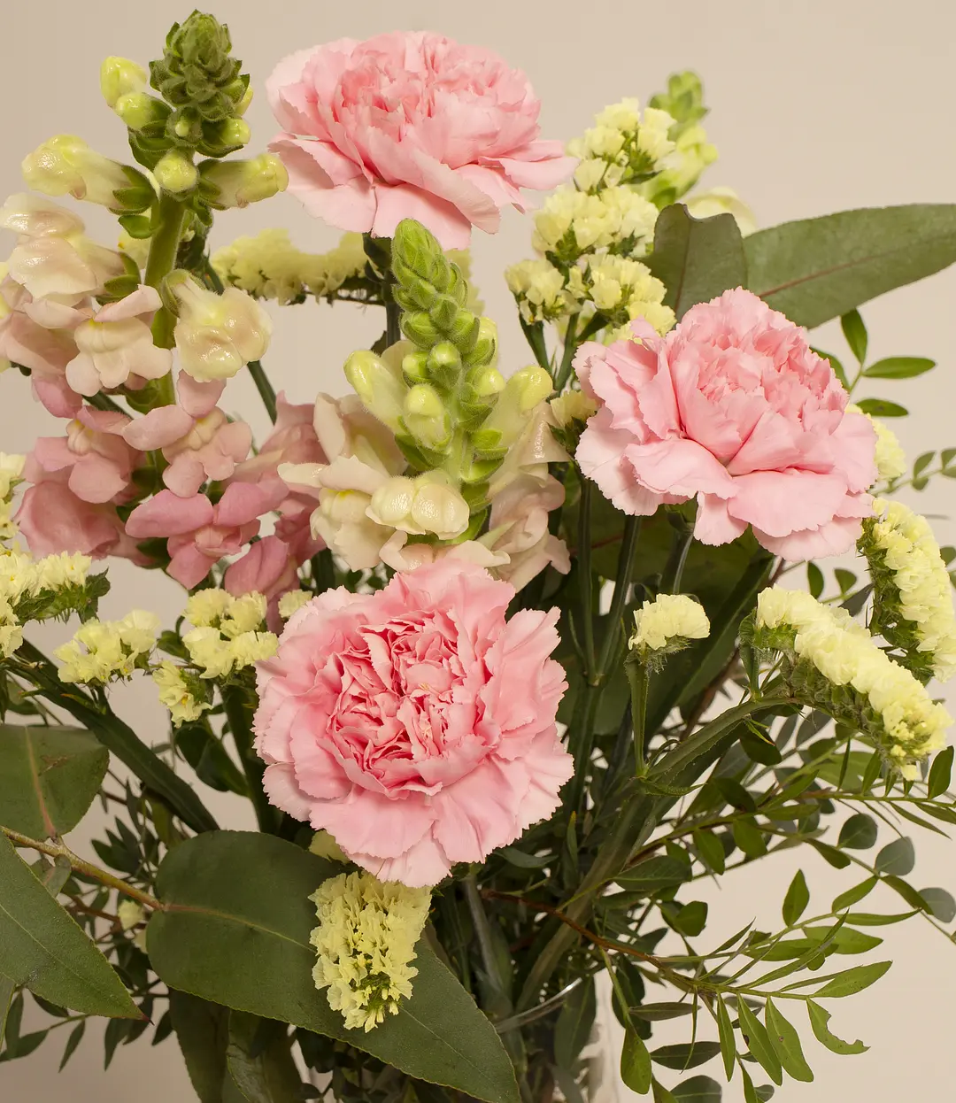 Pixie Carnation Flower | Best Flower Site