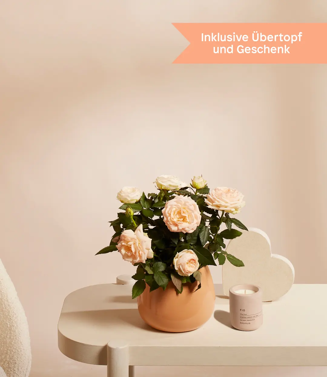 bloomon – die stilvolle Art Blumen zu schenken