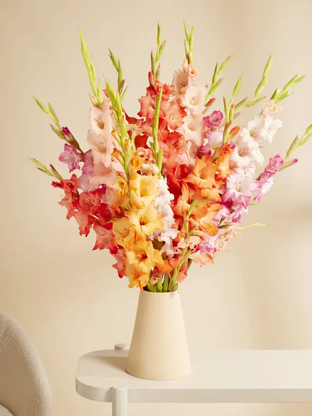 bloomon – die stilvolle Art Blumen zu schenken